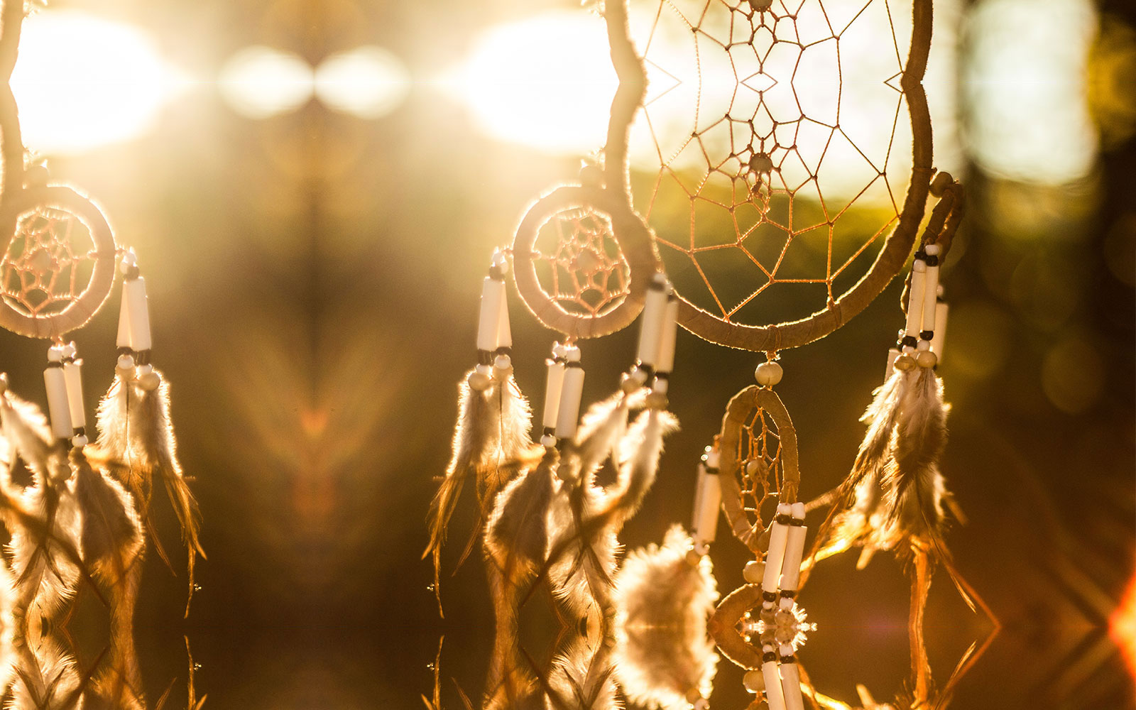 Managing Benefits™ Certification | APMG Store